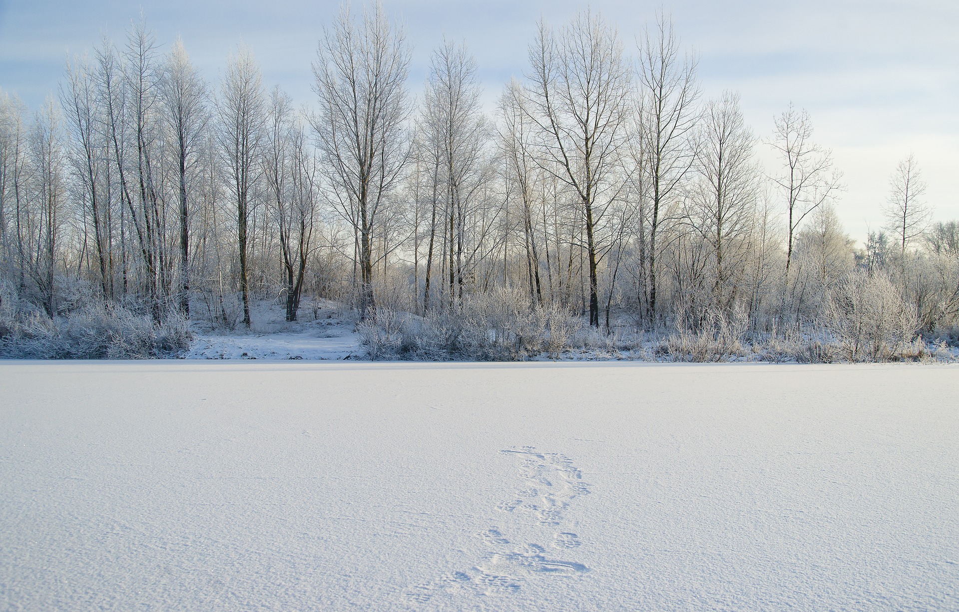What to do if you see someone fall through ice
