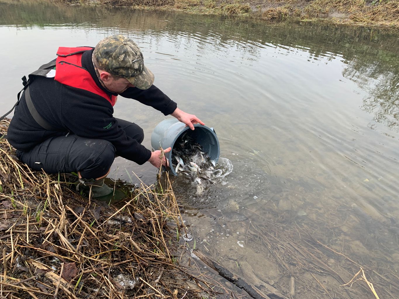 River Brue and Chard Reservoir get fish number boost