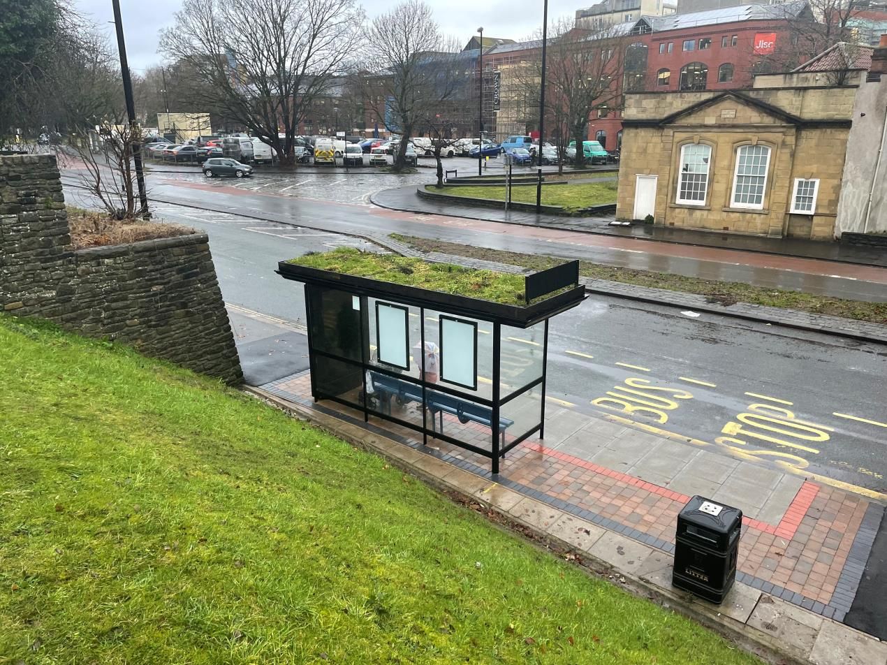 Bristol's Bee-friendly Bus Stop trial launches