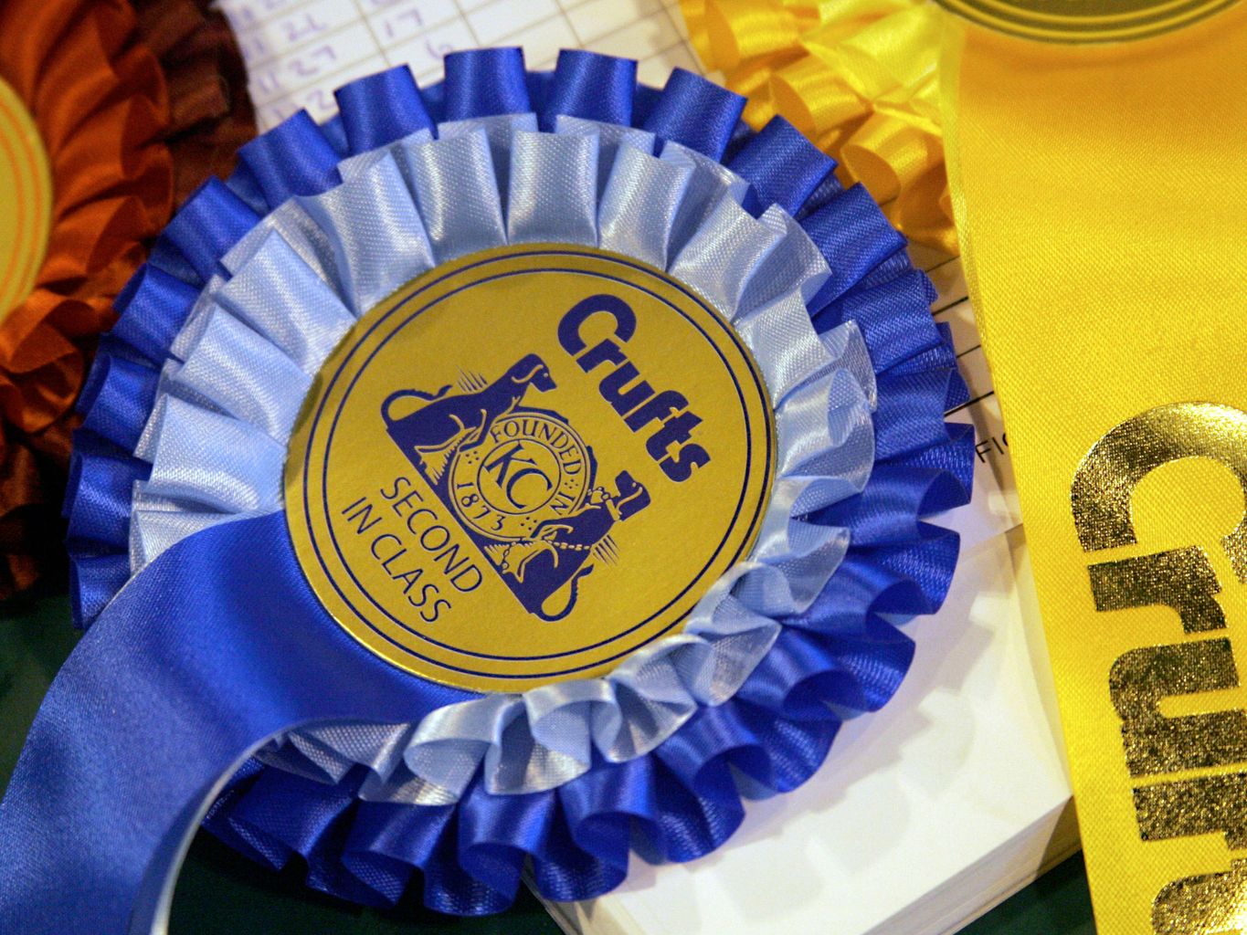 Crufts judge fined for running illegal puppy farm in South Wales