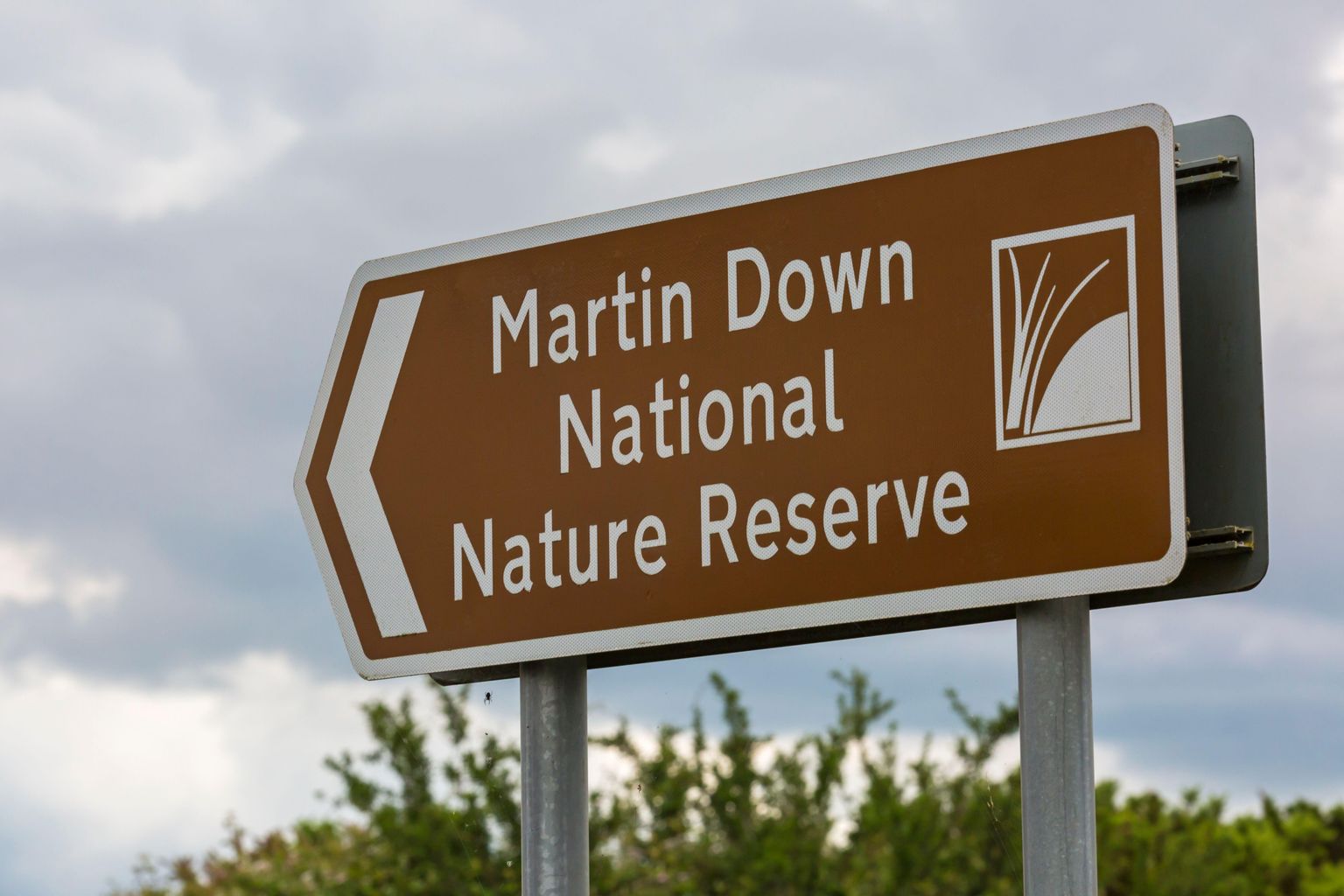 2023 calendar celebrates Martin Down National Nature Reserve | GHR ...
