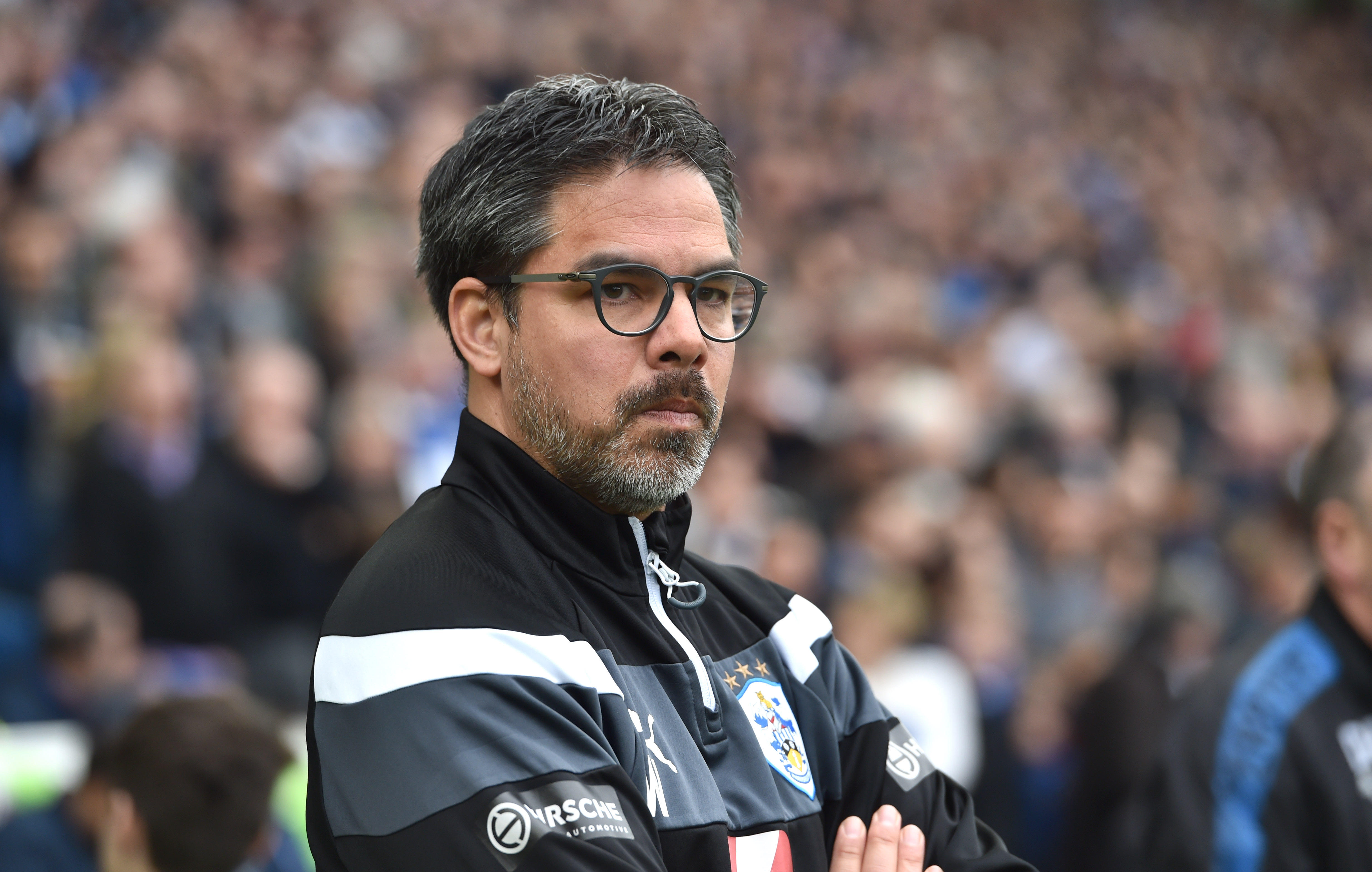 Norwich City announce David Wagner as new head coach | News - Greatest ...