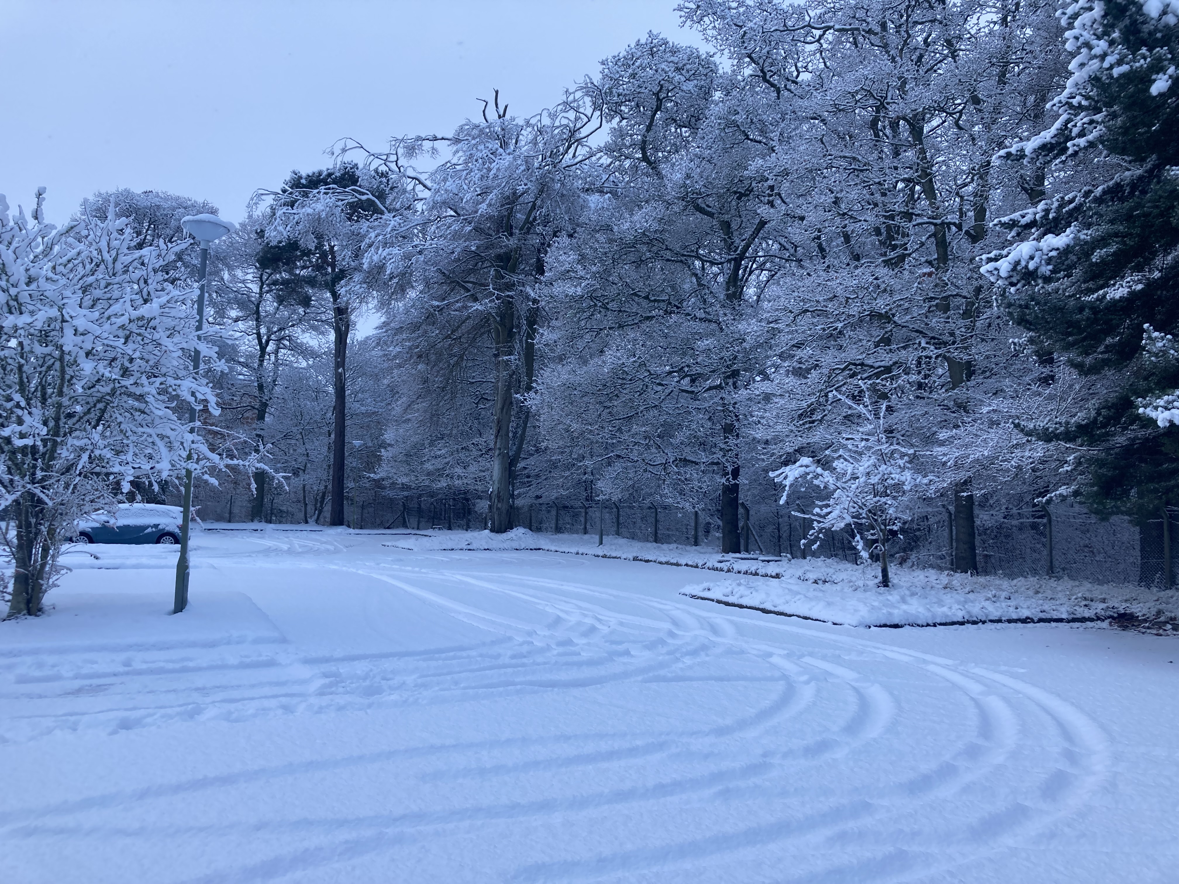 Amber weather warning issued across the North and North East | News - MFR