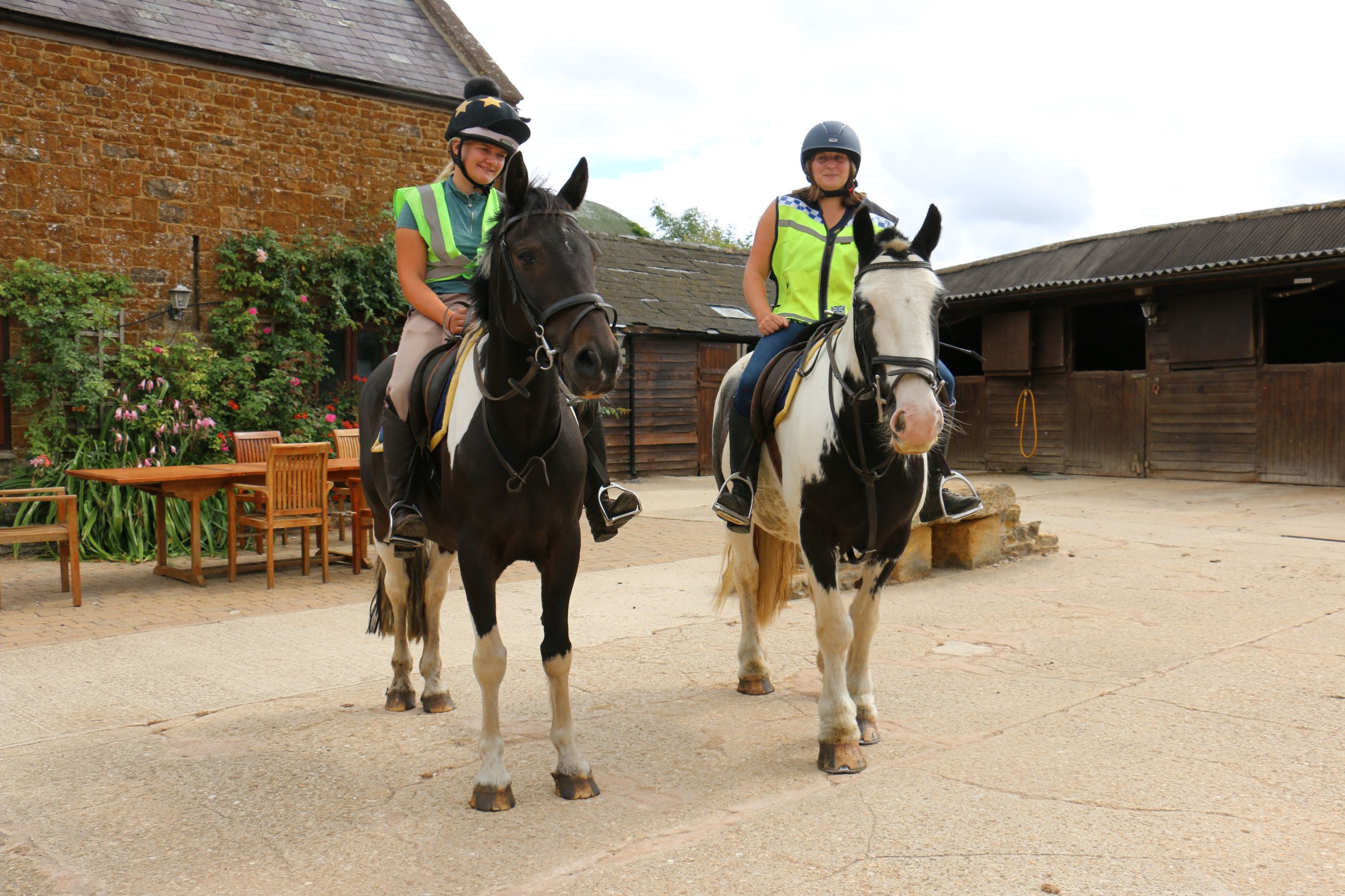 Norfolk charity Redwings rehomed record number of horses and ponies in ...