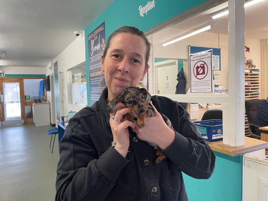 The centre in St Columb Major has seen 11 unwanted puppies already in 2023