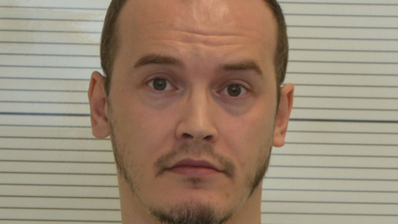 Engineer jailed for phone mast terror plot to topple government | News ...