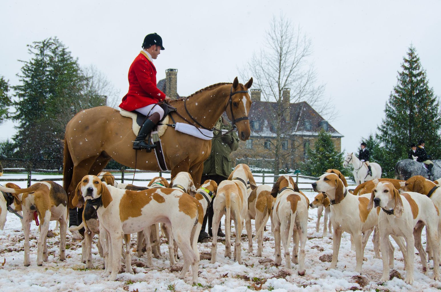 A Bill intended to tighten restrictions on hunting with dogs in ...