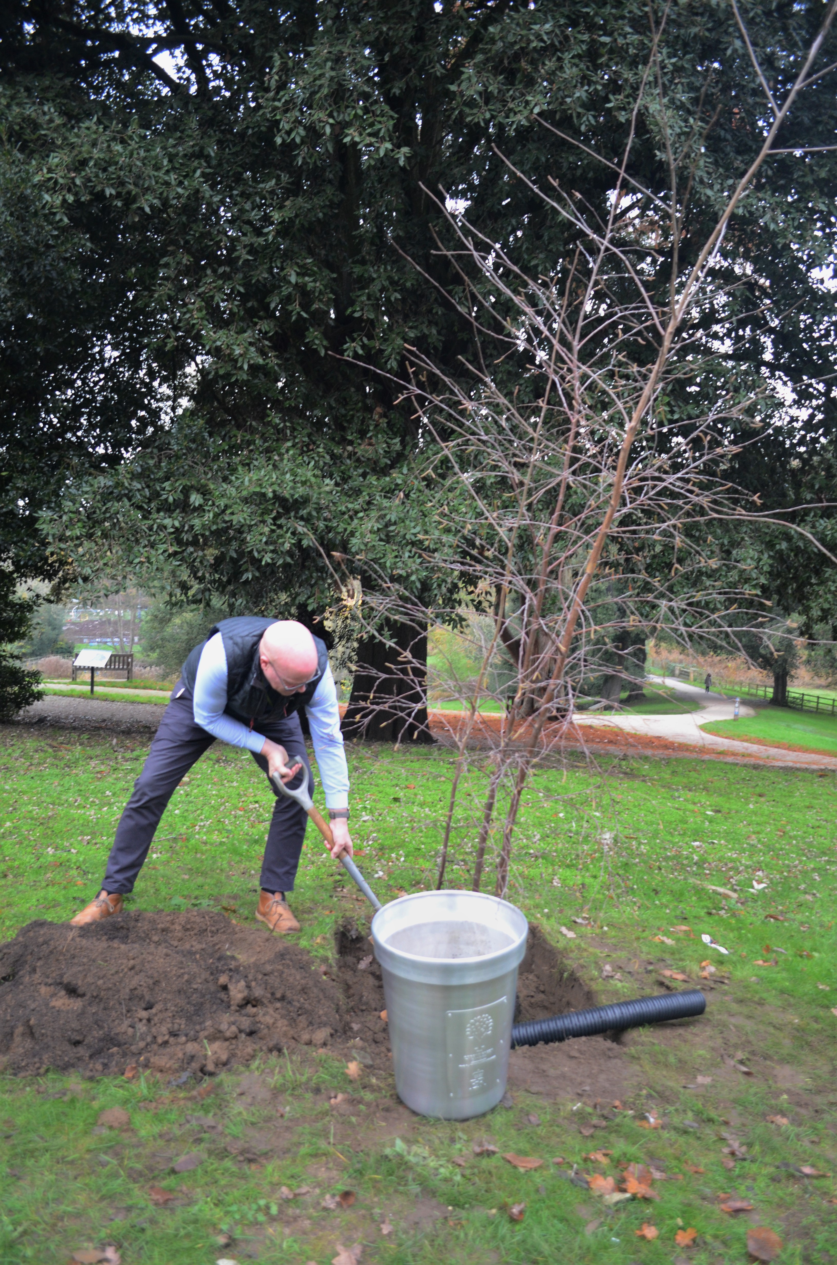 Almost 600 trees to be planted in Ipswich in honour of Queen Elizabeth ...