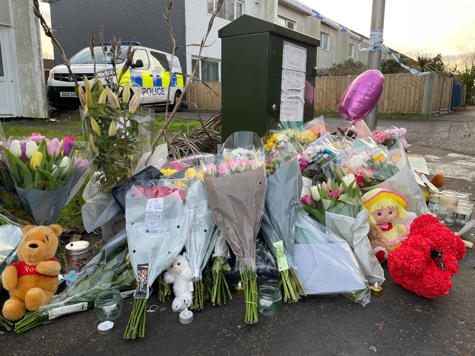 Family of 4-year-old girl killed by dog in Milton Keynes 'overwhelmed ...