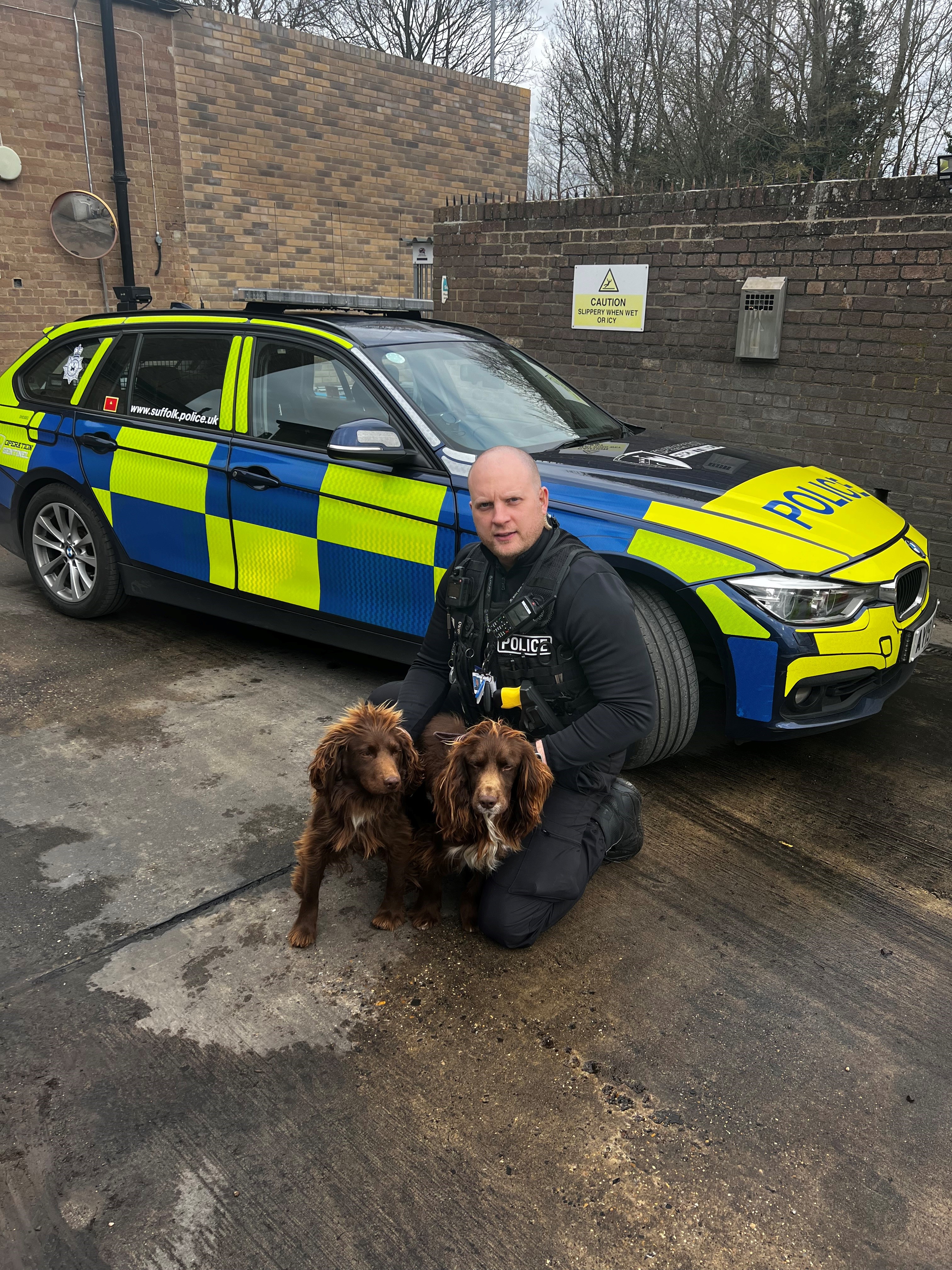 Are these your dogs? Suffolk Police bid to find owners of two stolen ...