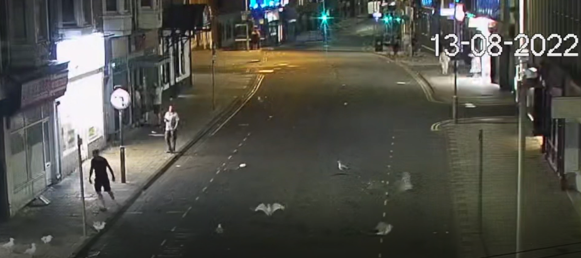 Man convicted after "horrific" and "shocking" attack on seagull in ...