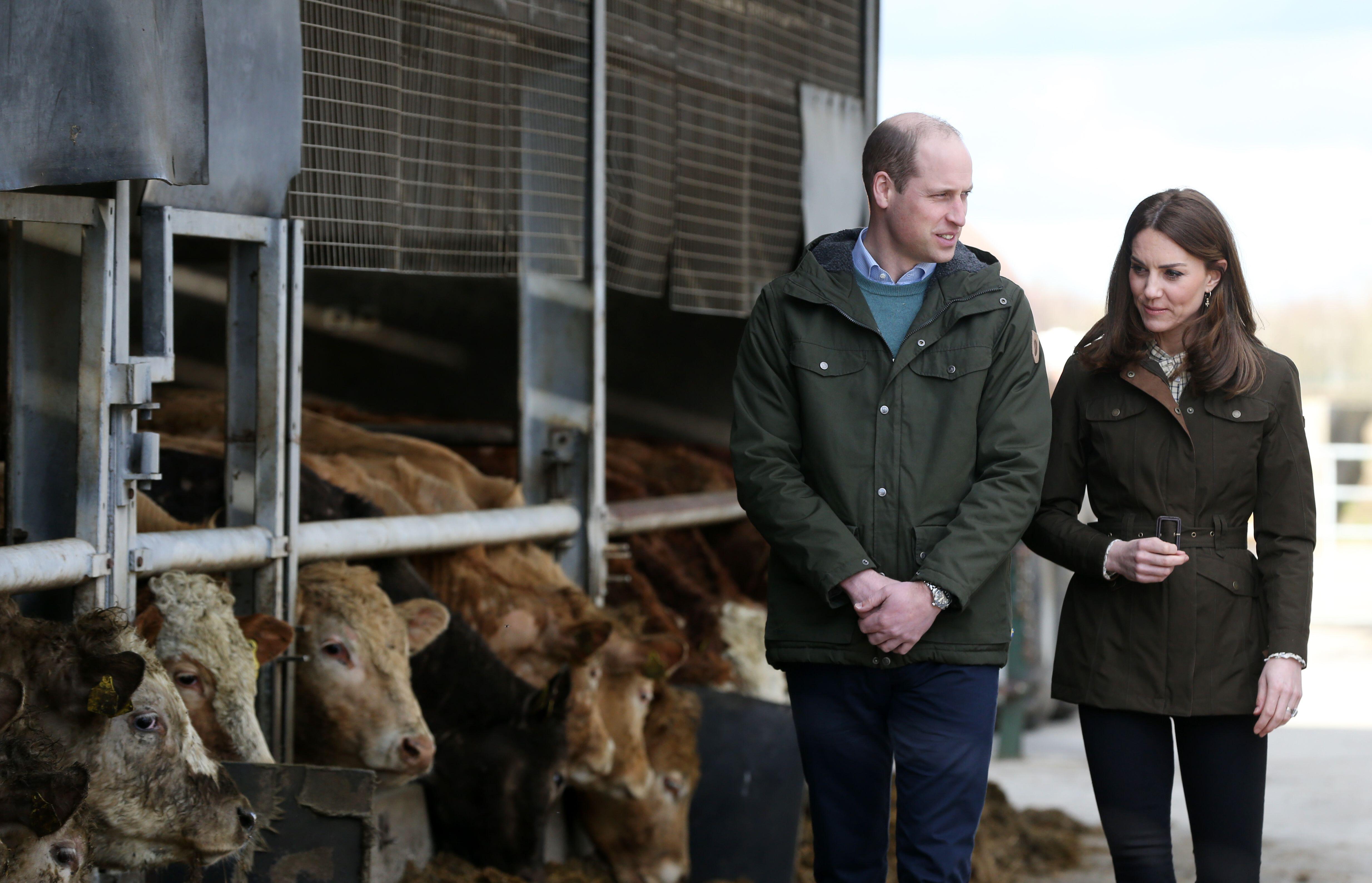 Duke and Duchess of Cornwall visit the county