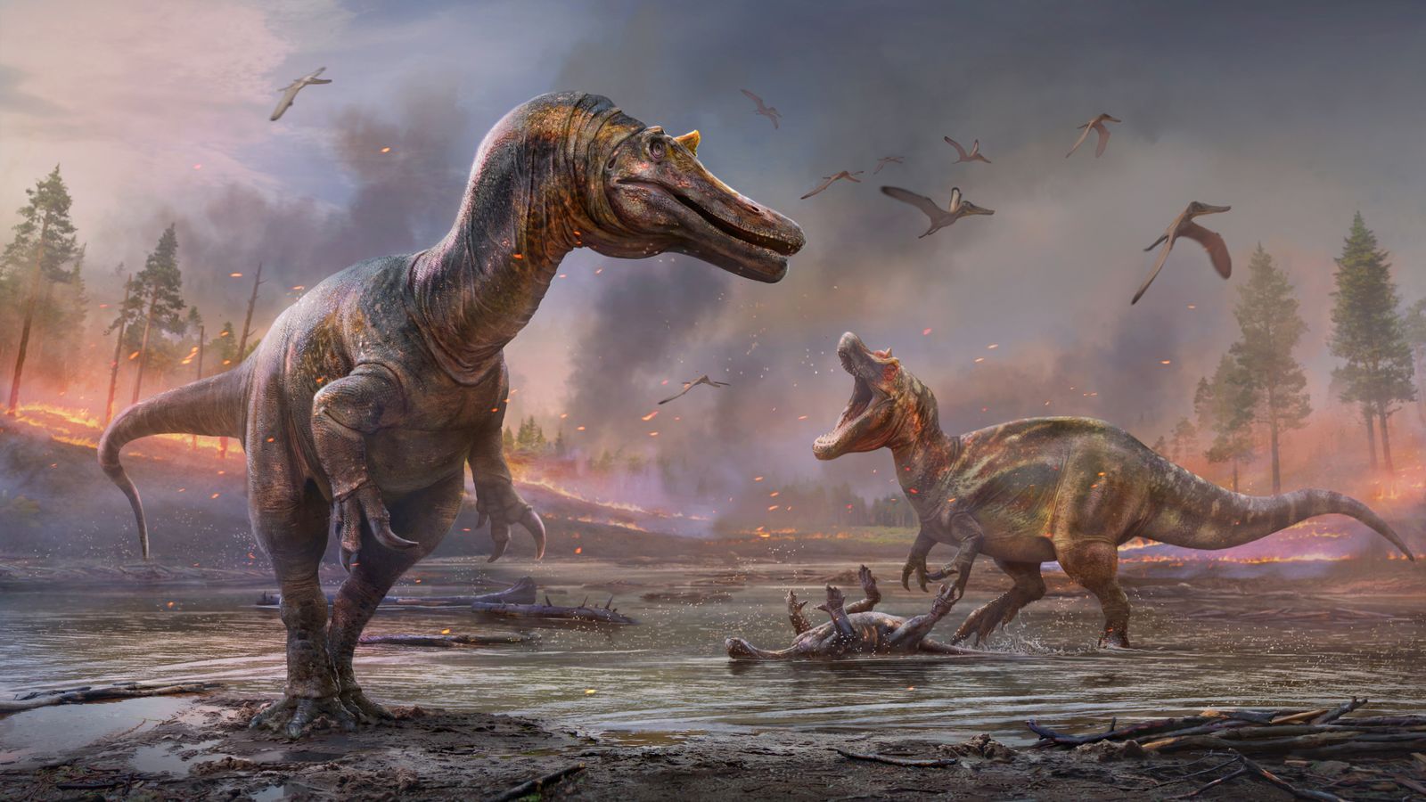 New research shines light on 125 million year-old dinosaurs | News - Tay FM