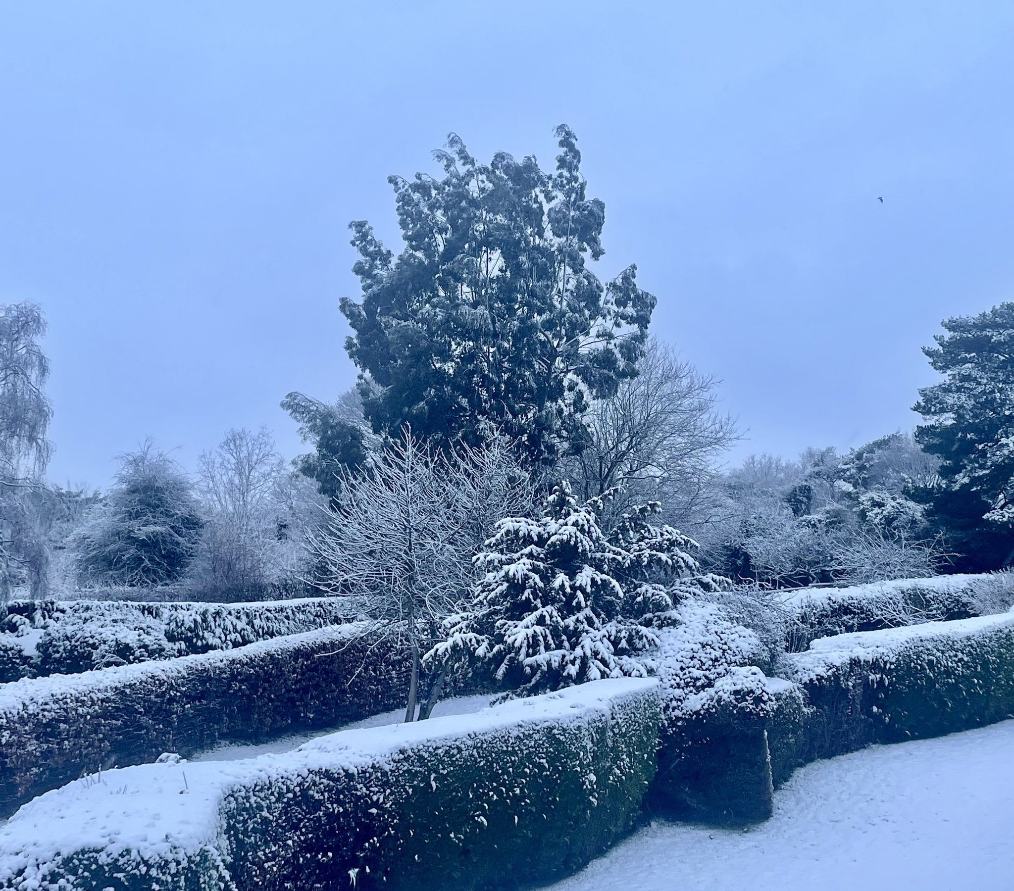 Travel warning after overnight snowfall in Surrey and East Hampshire