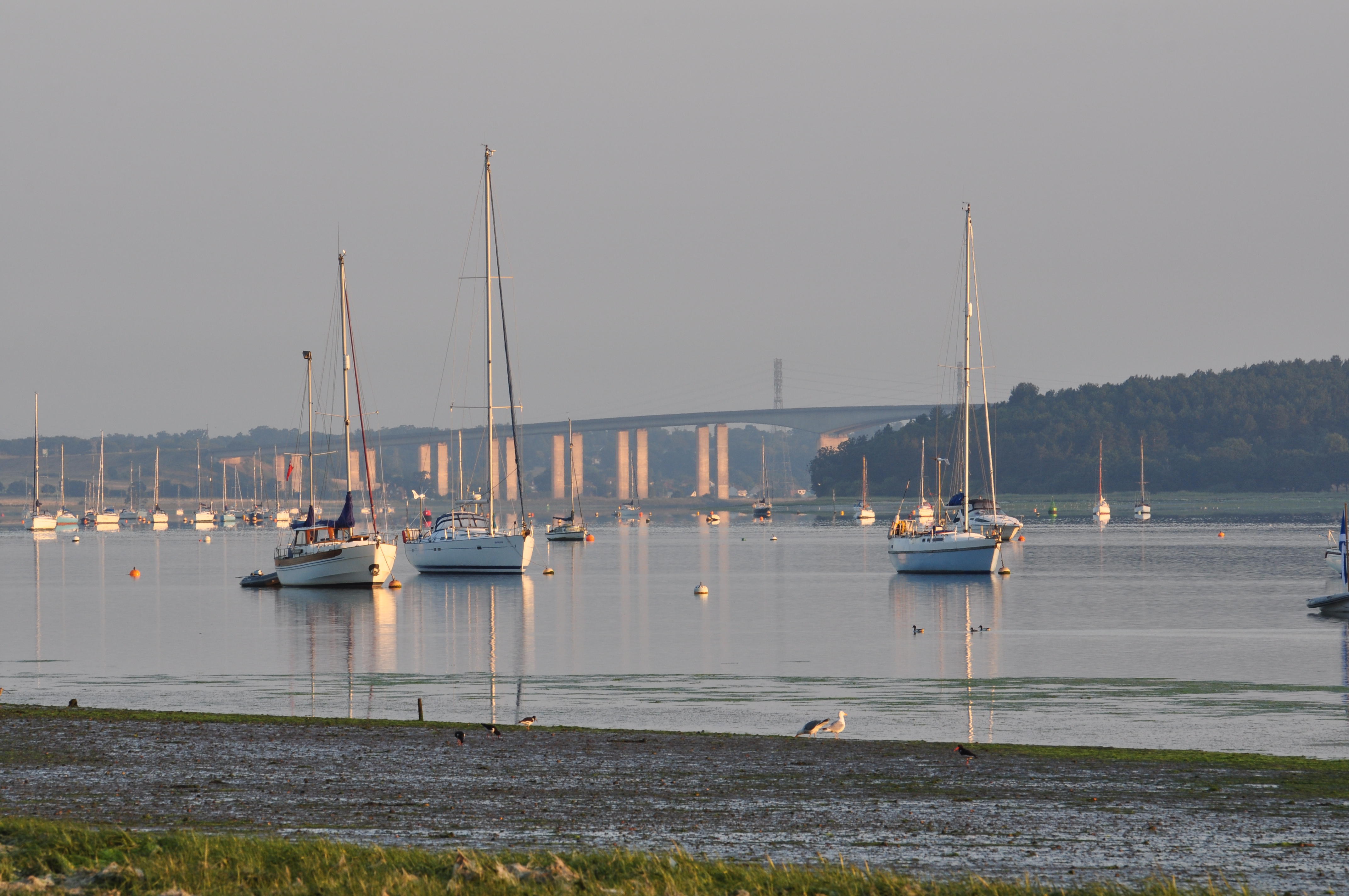 Government to unveil plan to protect waterways after sewage discharge ...