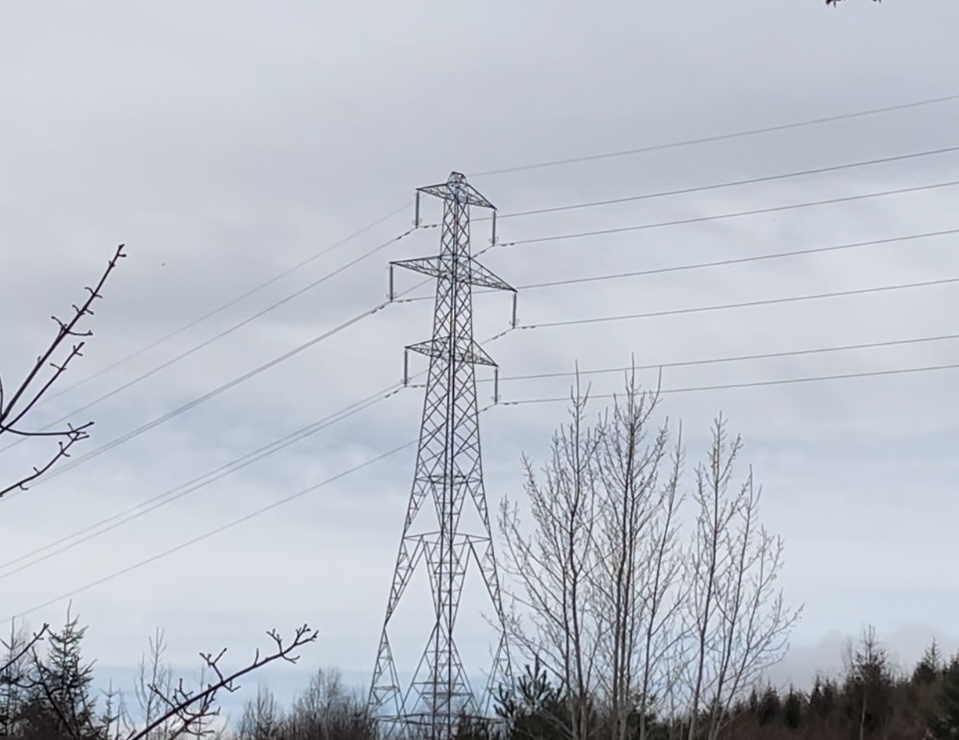 Scottish Government urged to intervene over pylon plans for the ...
