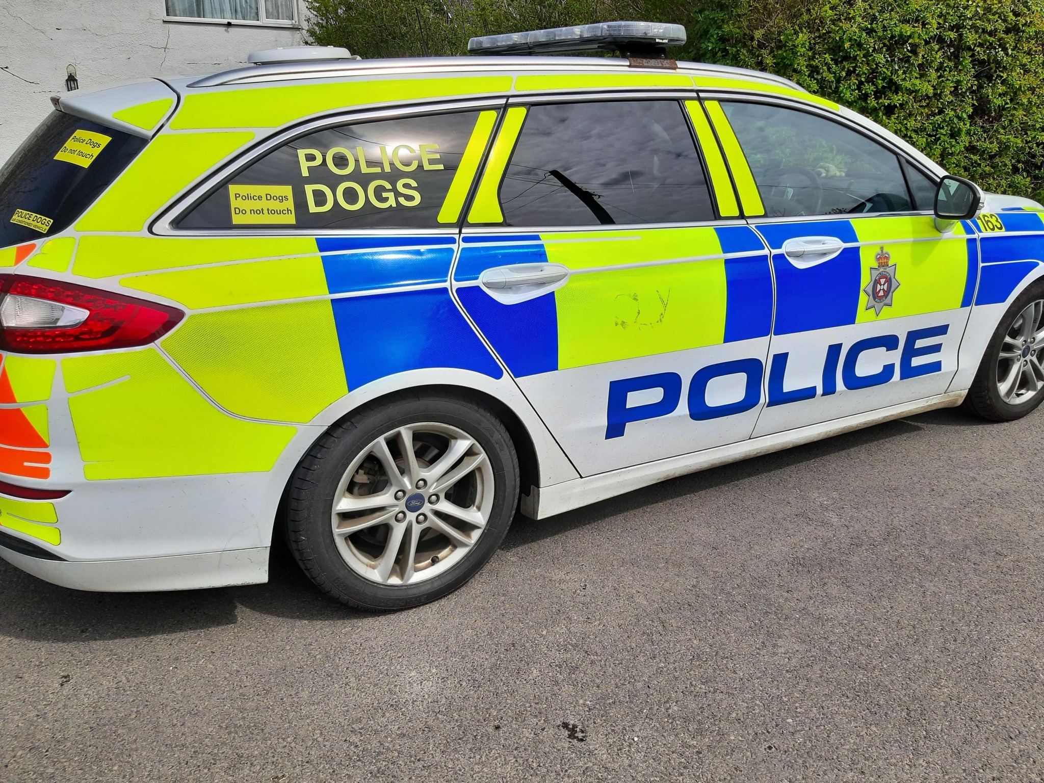Three dogs seized at Amesbury property over welfare concerns | GHR ...