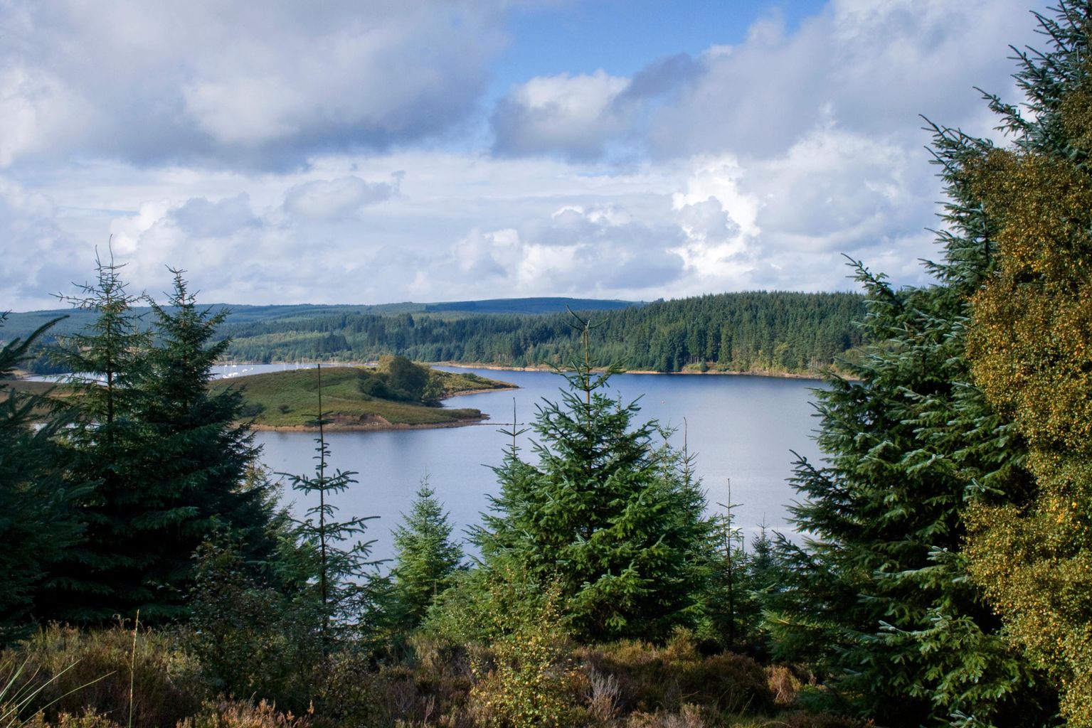 1,600 riders to take part in gruelling bike race through Kielder Forest ...