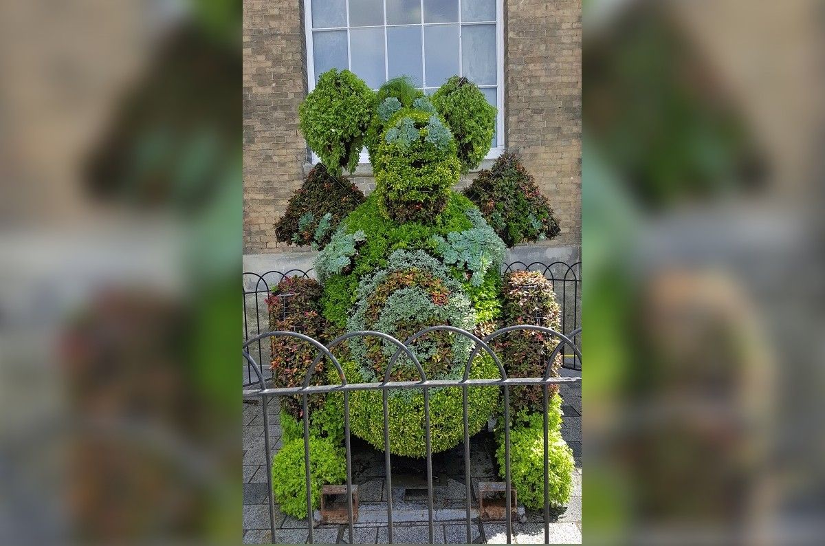 Last hurrah for Gilbert the Dragon in Salisbury!