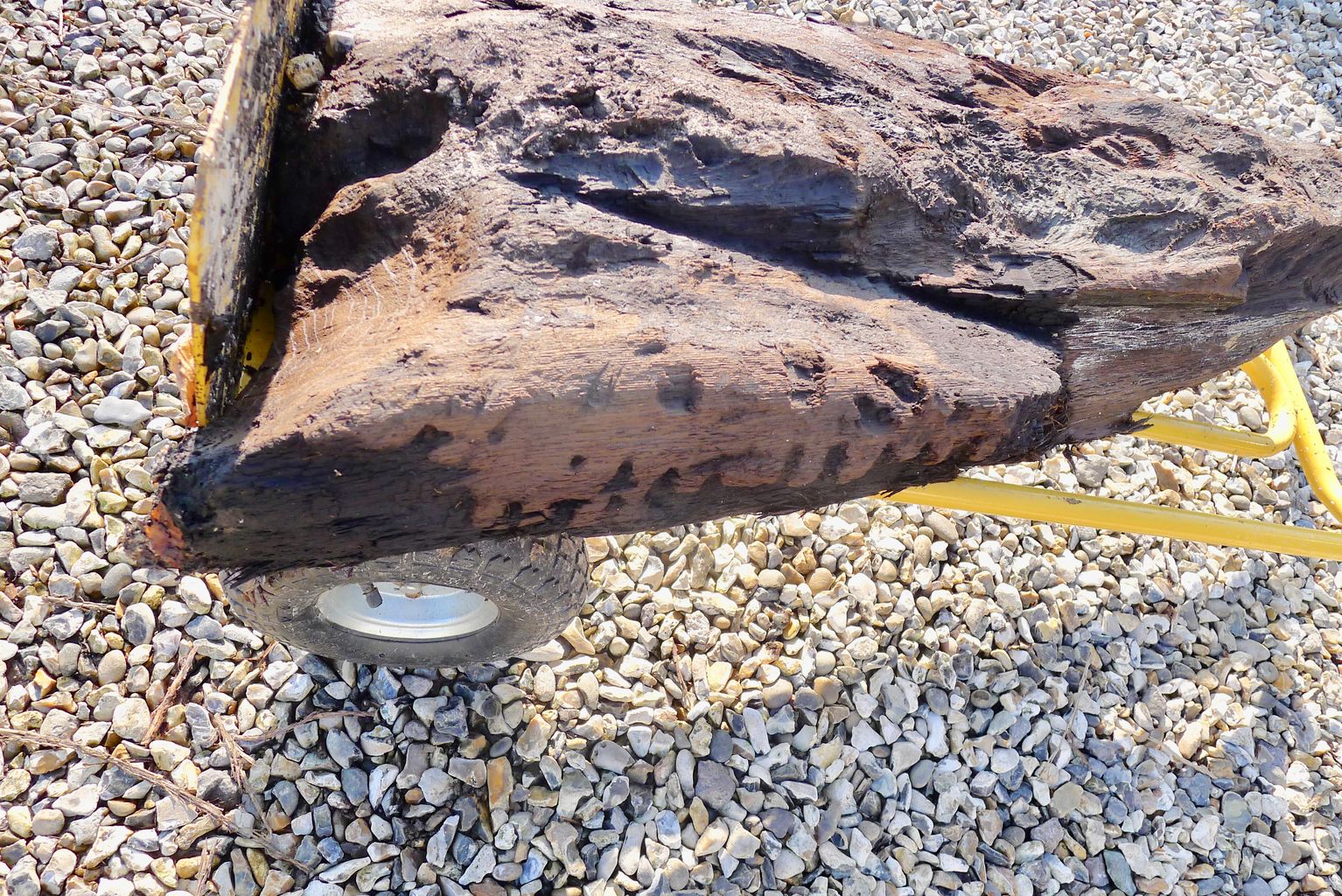 Britain's oldest piece of carved wood found in Berkshire