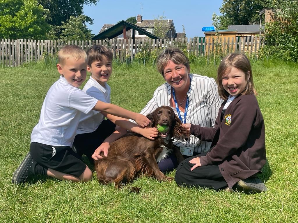 Suffolk school therapy dog is leading the way for wellbeing | News ...