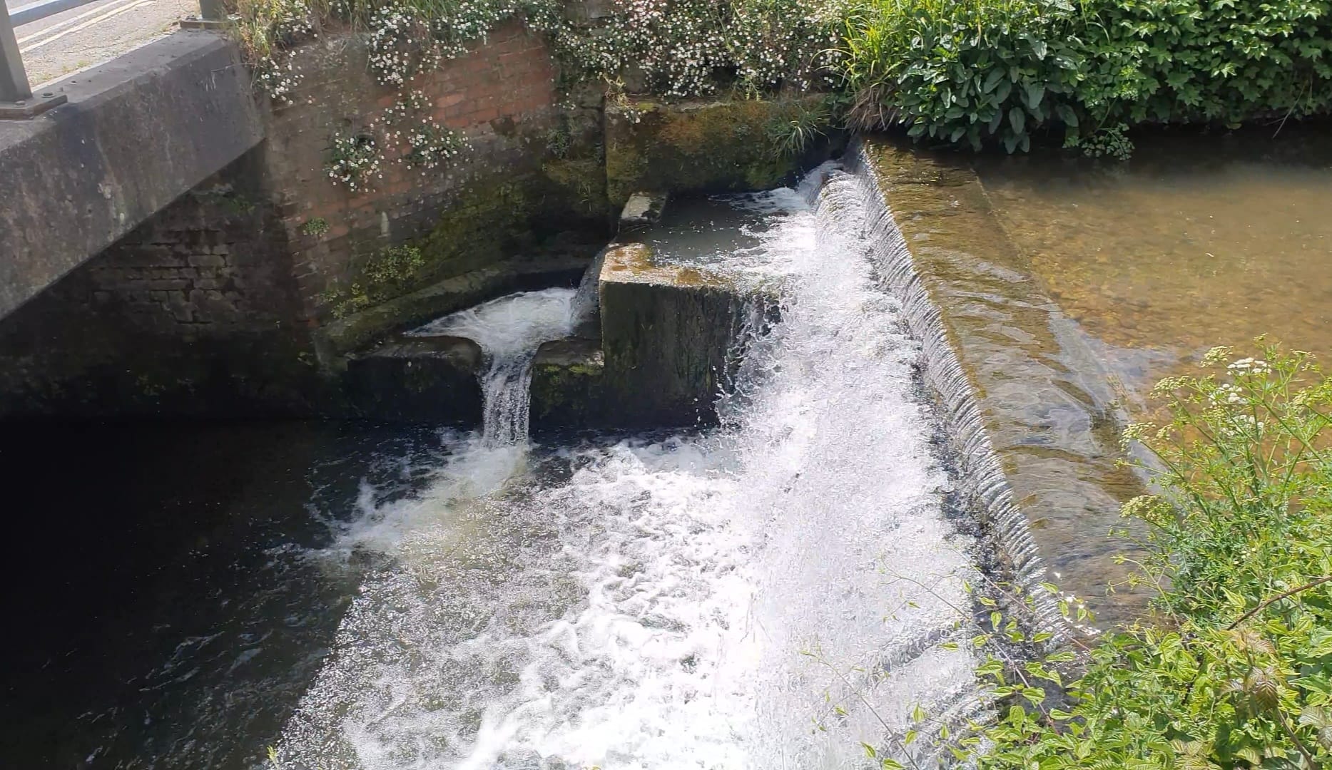 £20M to be spent on cleaning up cleaning up Dorset river classed as ...