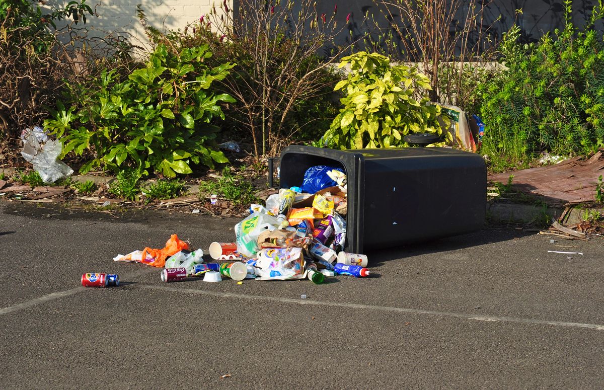 Hertfordshire Council leader urges talks to avoid Welwyn Hatfield bin ...