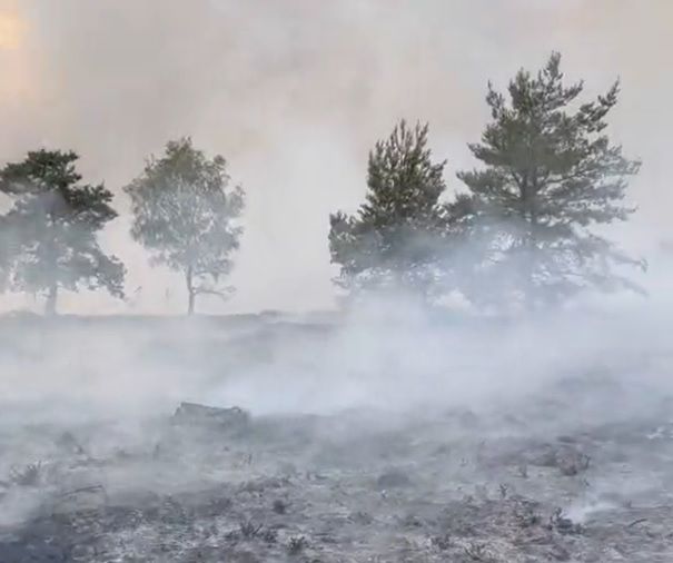 Large fire at MoD firing range in Hampshire | News - Greatest Hits ...