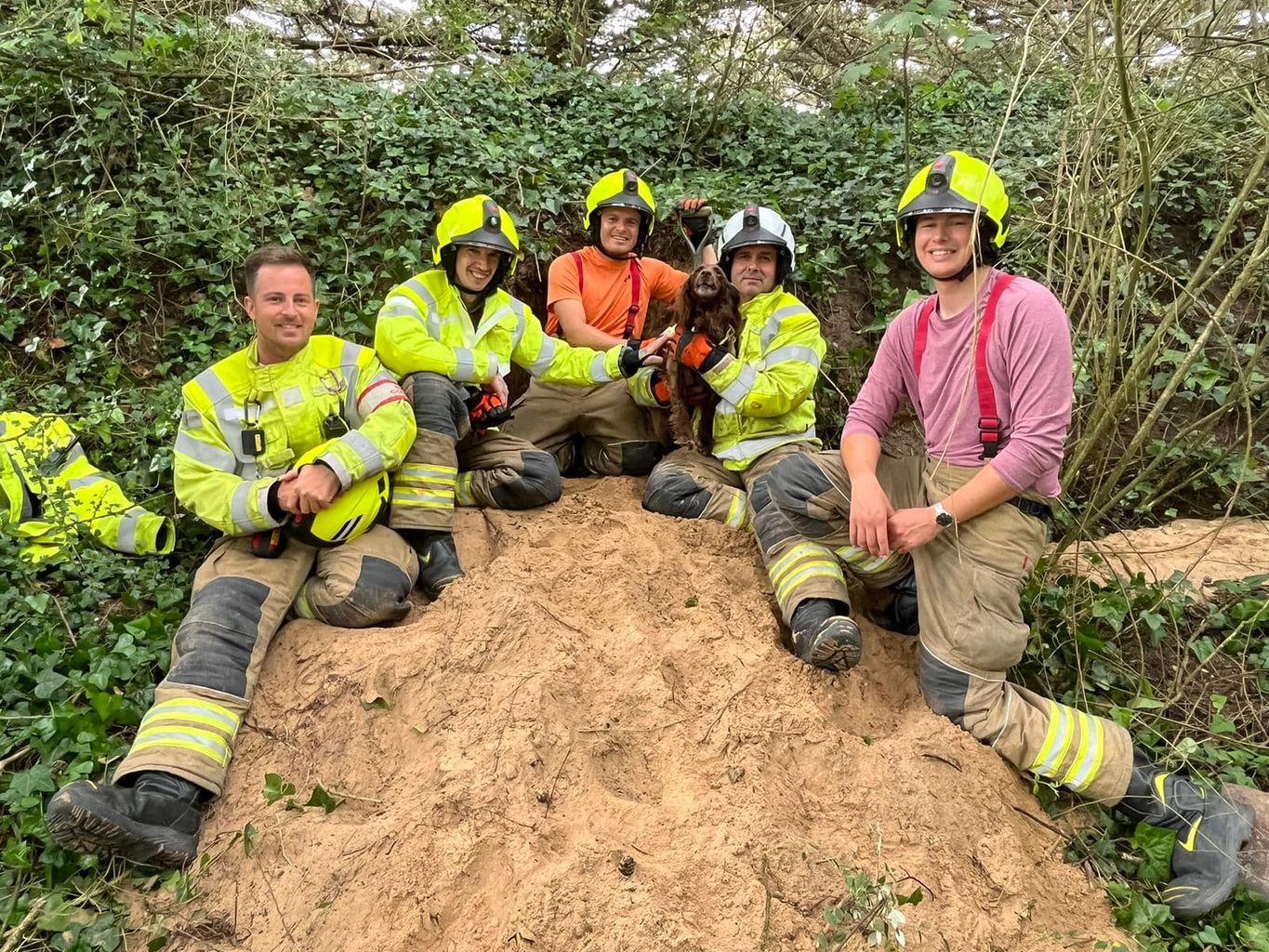 Dog rescued by fire crew from Wadebridge