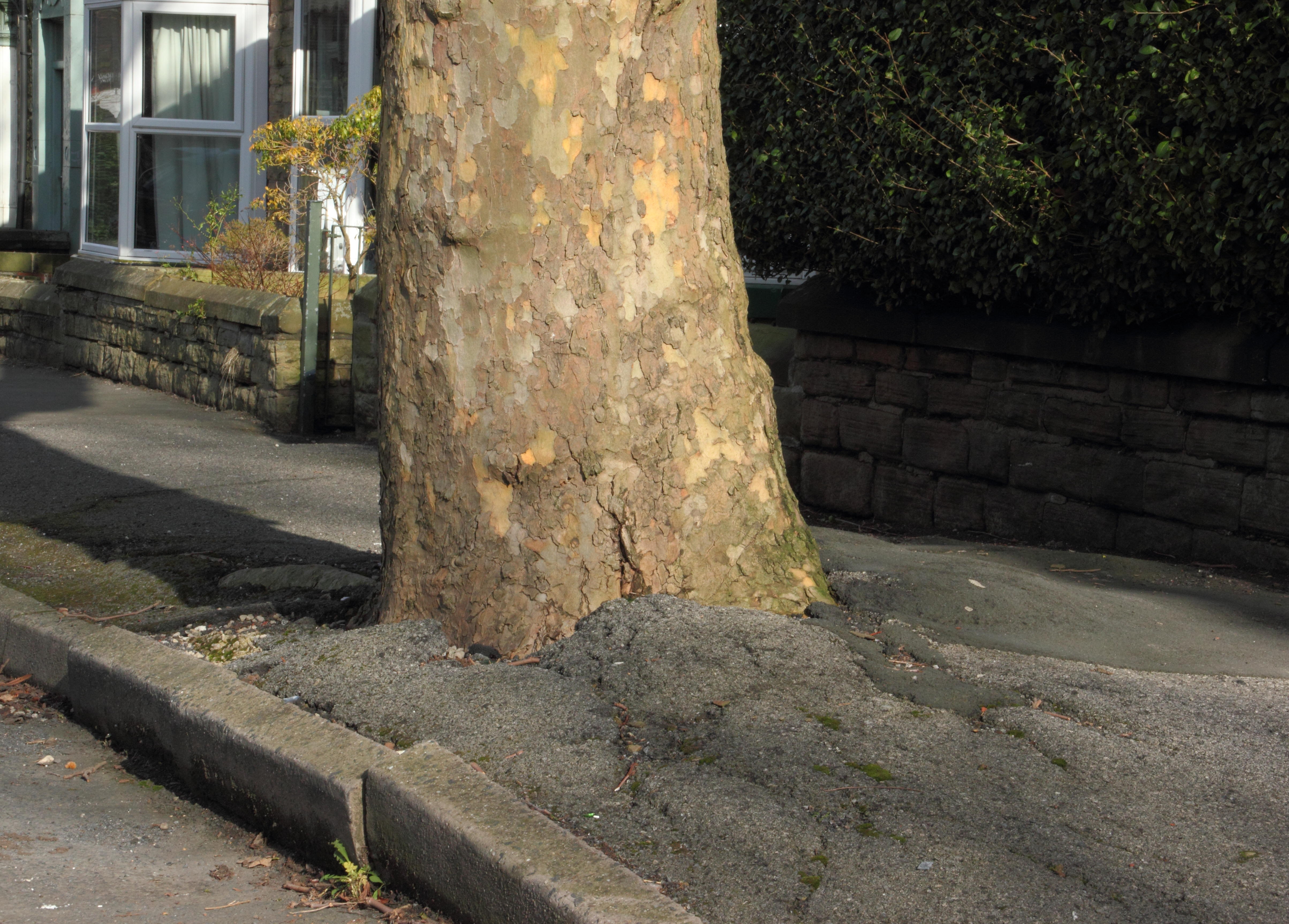 Sheffield City Council publish open apology to residents on the street ...