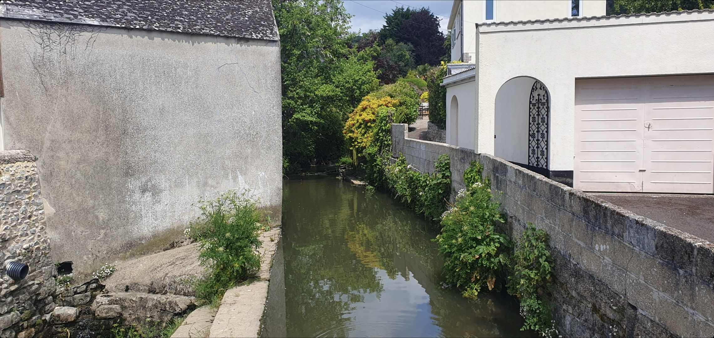 Campaigners 'cautiously welcome' South West Water's promise to clean up ...