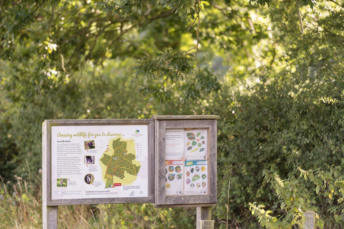 Could you be a Woodland Welcomer at Dorset's Duncliffe Wood?