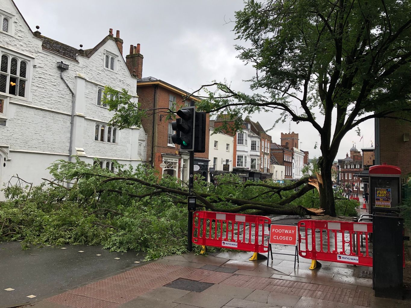 Large tree falls and blocks Guildford High Street