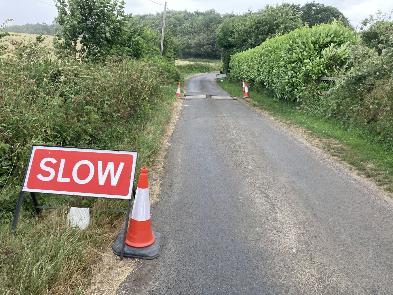 Drivers urged to 'go slow' as badgers tunnel underneath Yeovil road