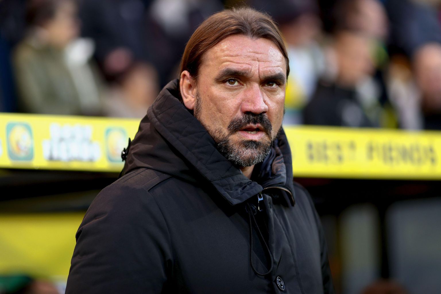 Leeds United announce Daniel Farke as new boss | News - undefined