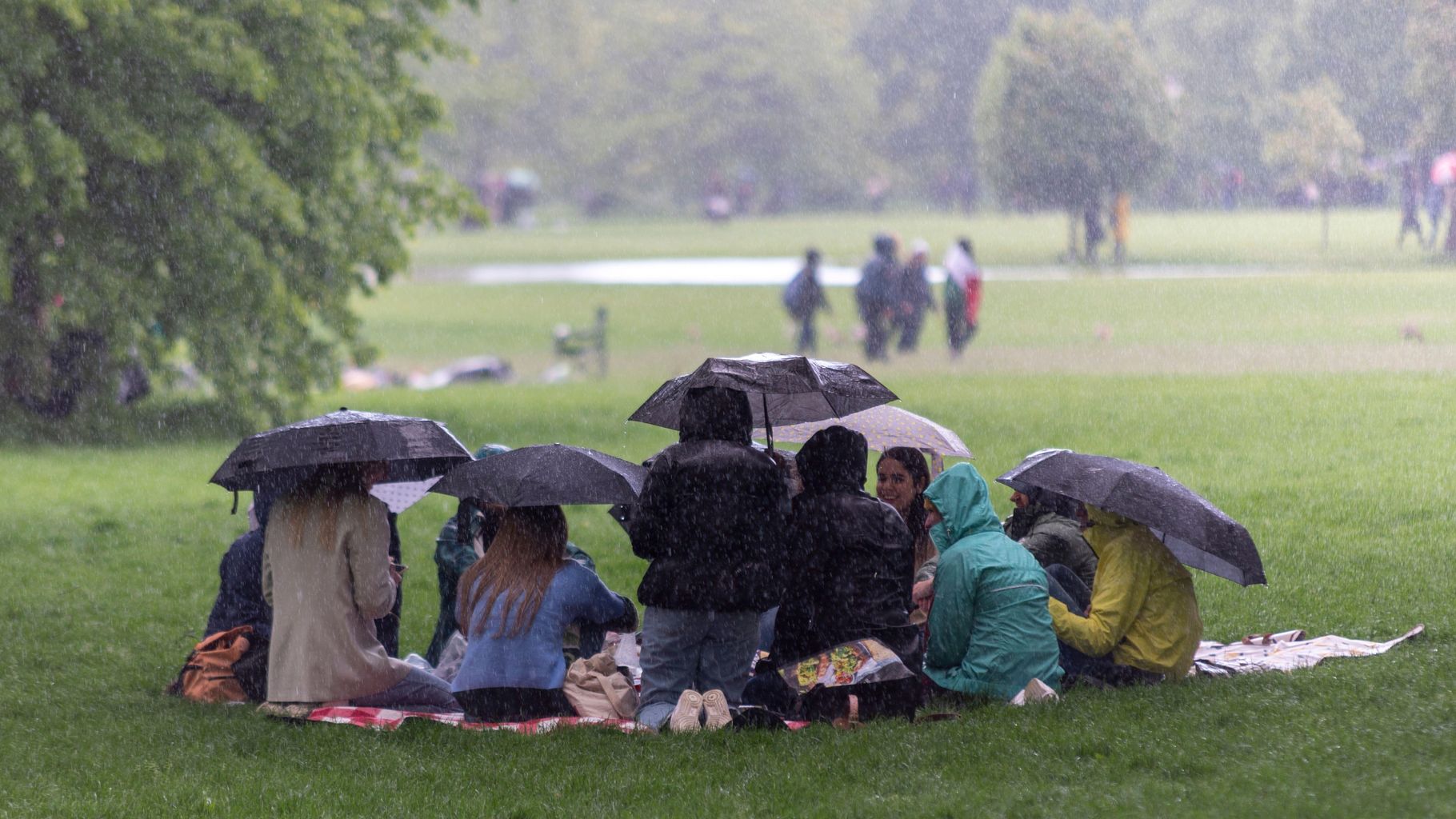 Yellow Weather Warning Thunderstorms And Flash Flooding Forecast