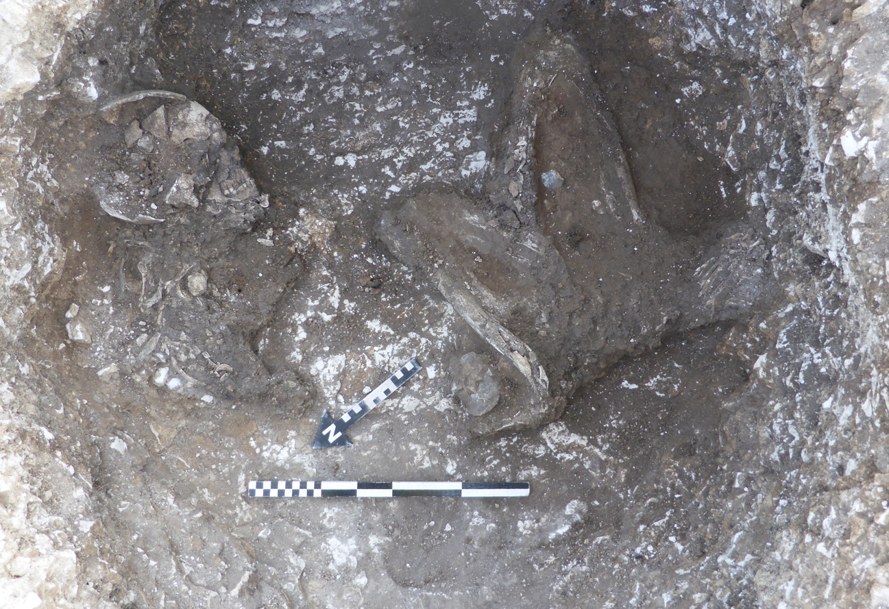 Archaeologists unearth 4,000-year-old Bronze Age human remains | News ...