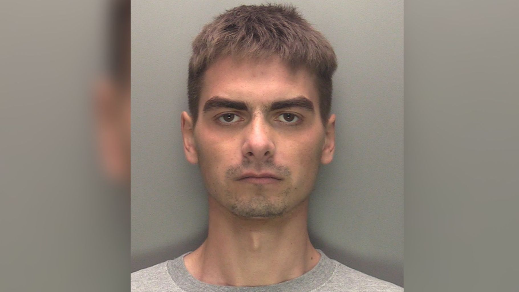 Police have described the case of a nine-year-old girl who was stabbed ...