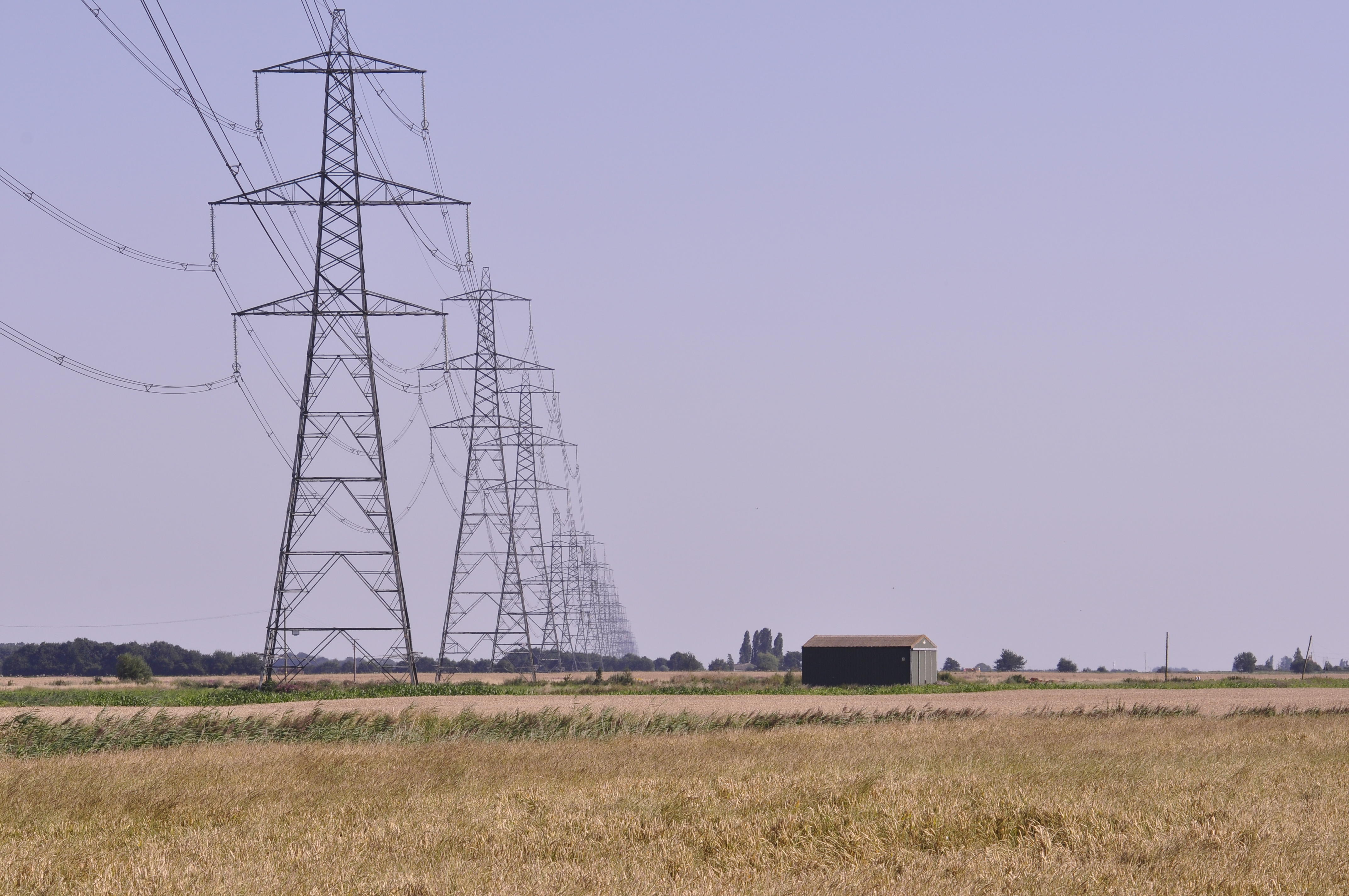 Fears planned new pylons in Norfolk may be 'fast-tracked' through ...