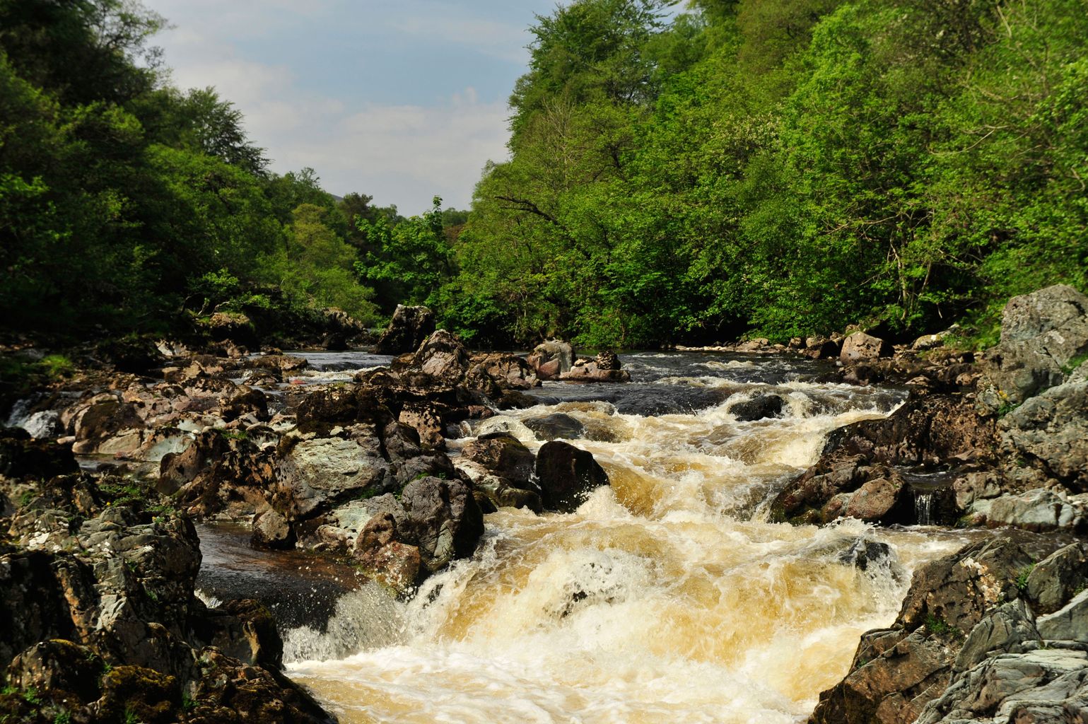 Frantic Search For 15 year old Boy Missing In Angus River News Tay FM frantic-search-for-15-year-old-boy-missing-in-angus-river-news-tay-fm