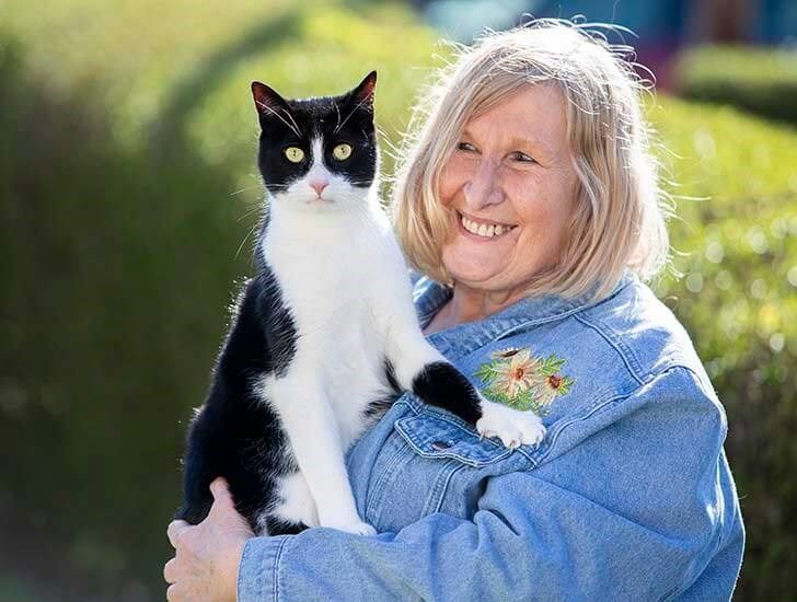 Derbyshire cat named 'Cat of the Year' | News - undefined