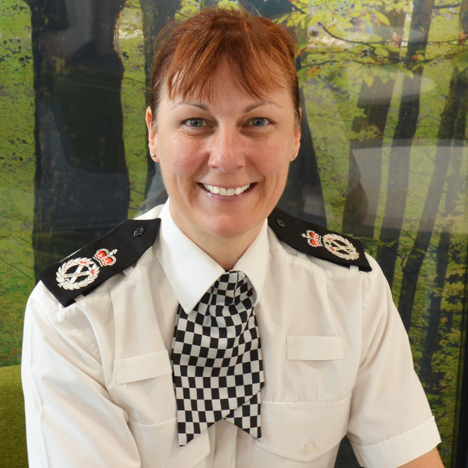 North Yorkshire Police chief issues assurances over vetting of officers ...