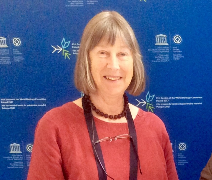 Stonehenge Alliance lead campaigner Dr Kate Fielden dies