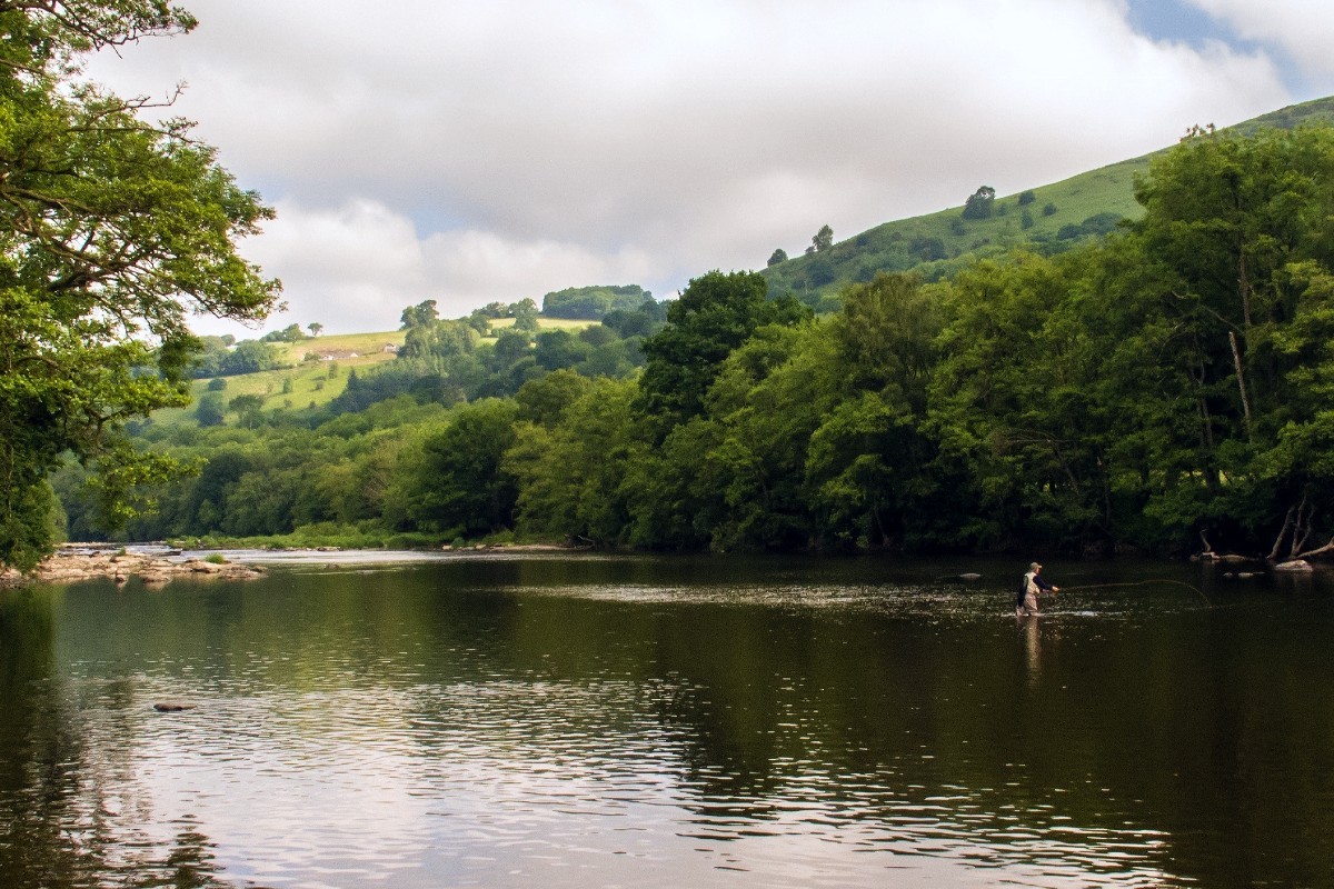 Avara Foods to reduce chicken waste sale to save river Wye | News ...