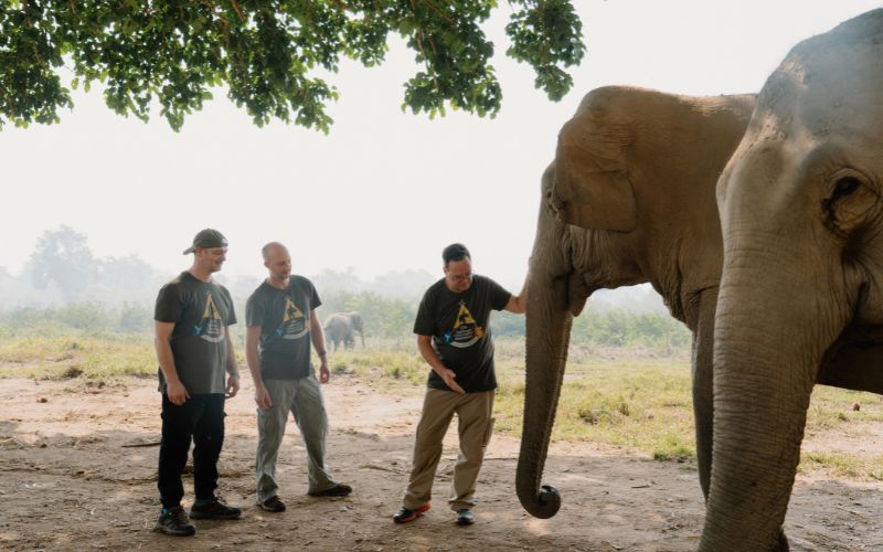 Longleat elephant keepers take their expertise to Thailand | GHR Salisbury