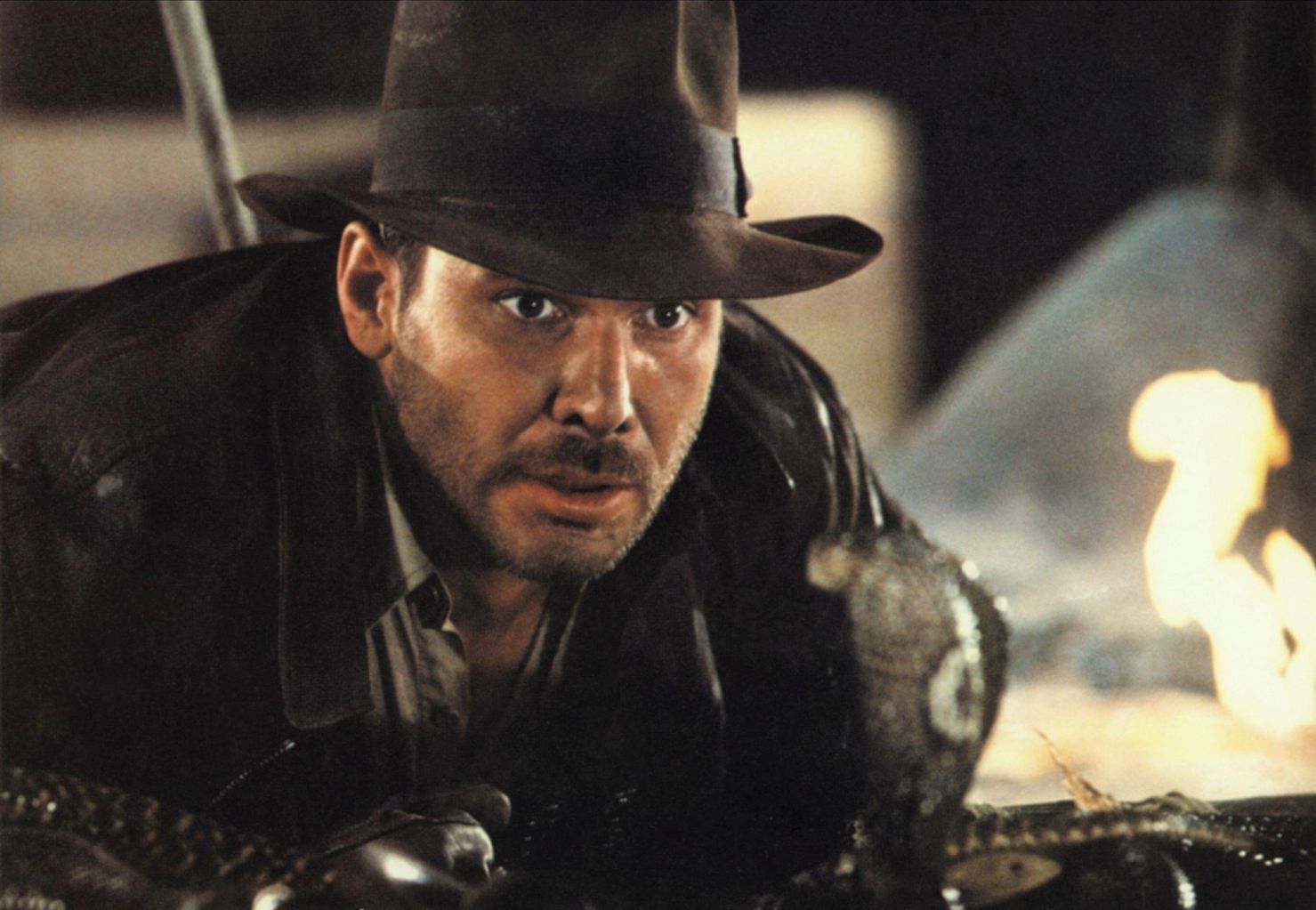 Harrison Ford has snake species named after him