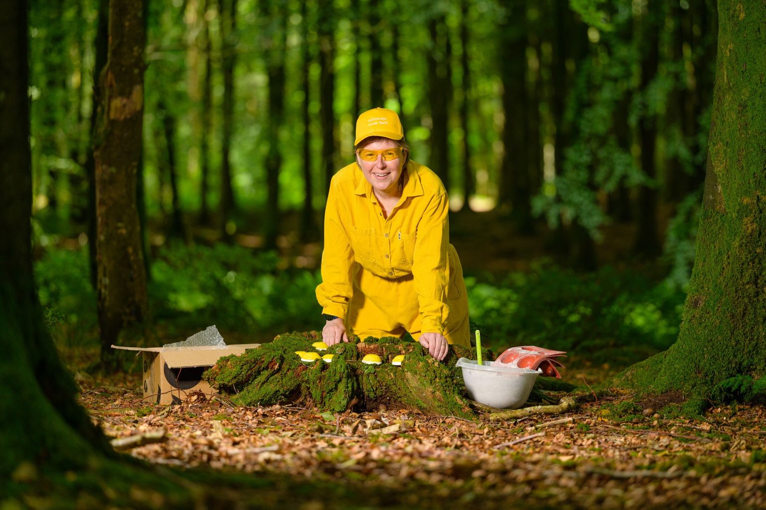 Unique exhibition to take over local woodland