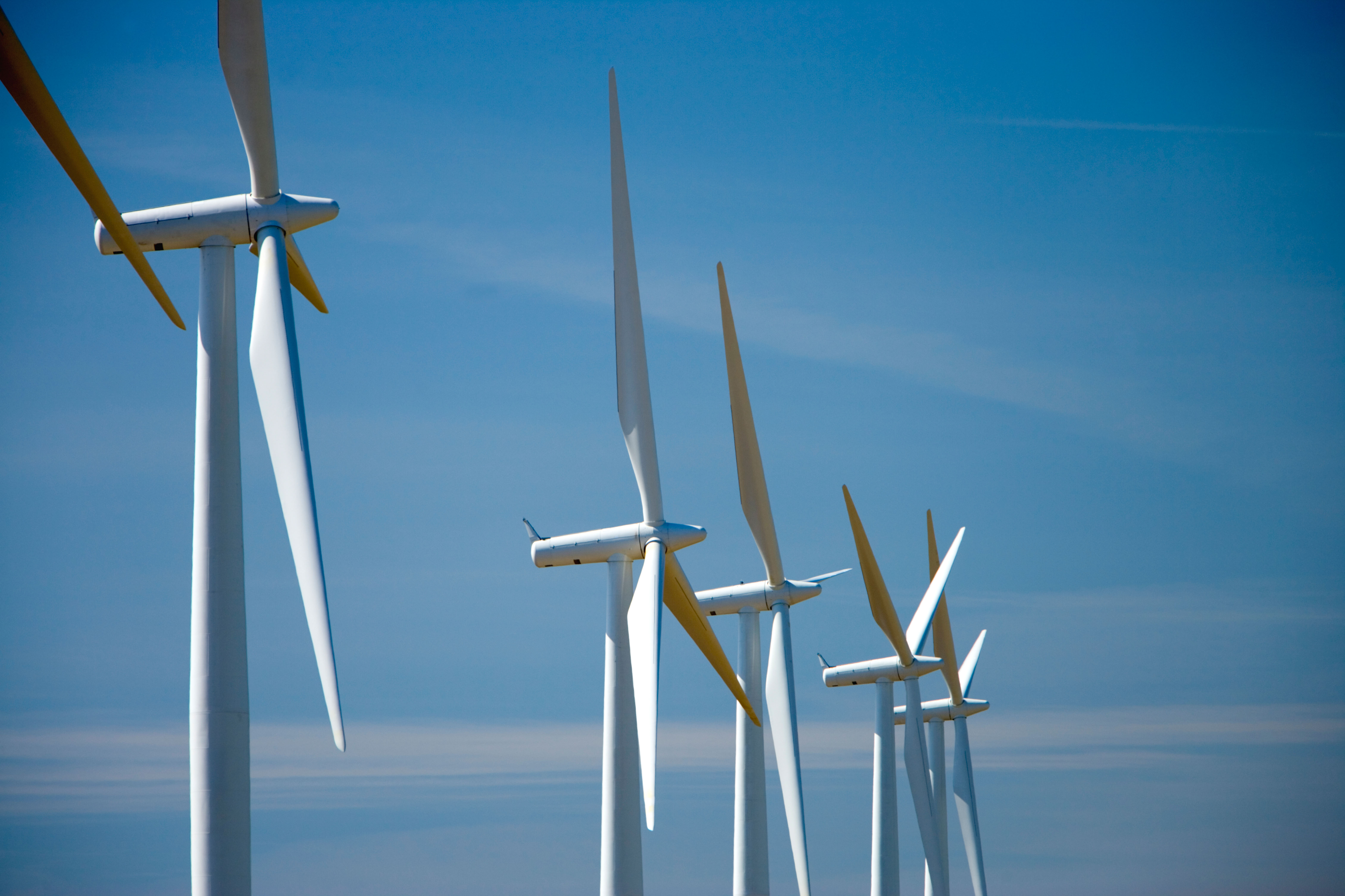 Galloway Hills wind farm given approval despite local outrage