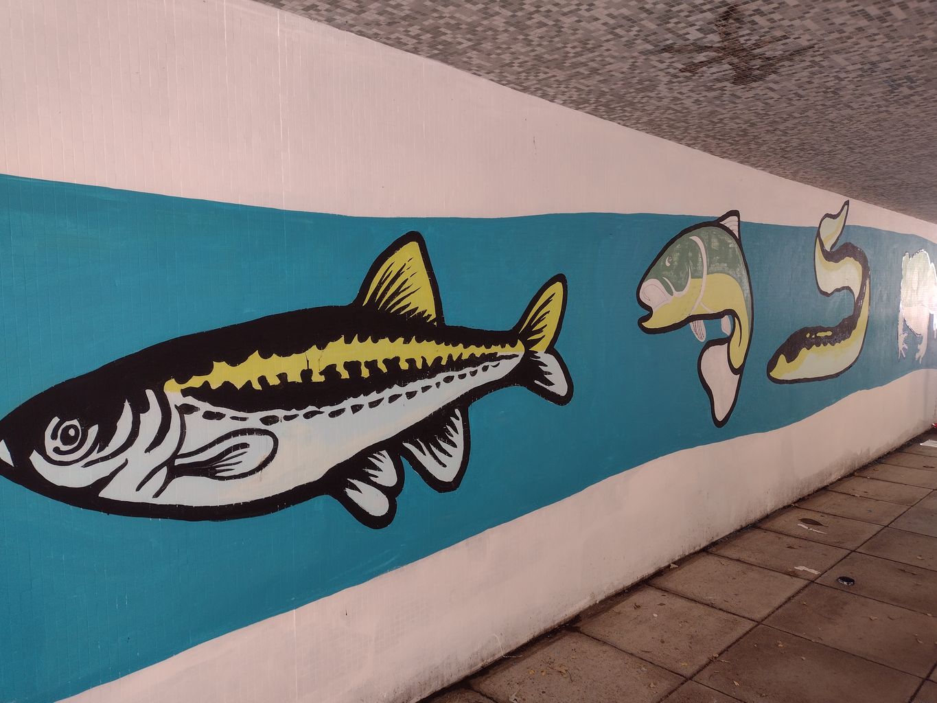 Salisbury’s Exeter Street underpass gets makeover with community project