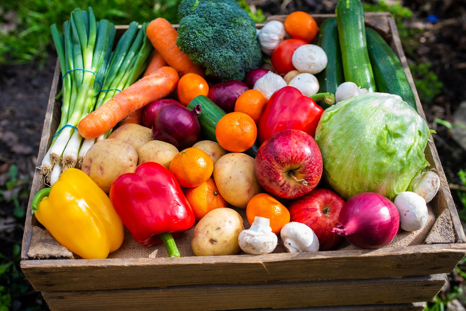 Mental Health charity to transform former council site in Egremont ...